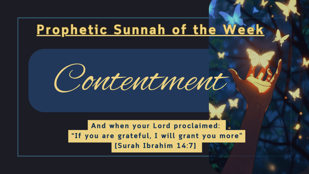 Sunnah of the Week (21) – Contentment - Tayyibah